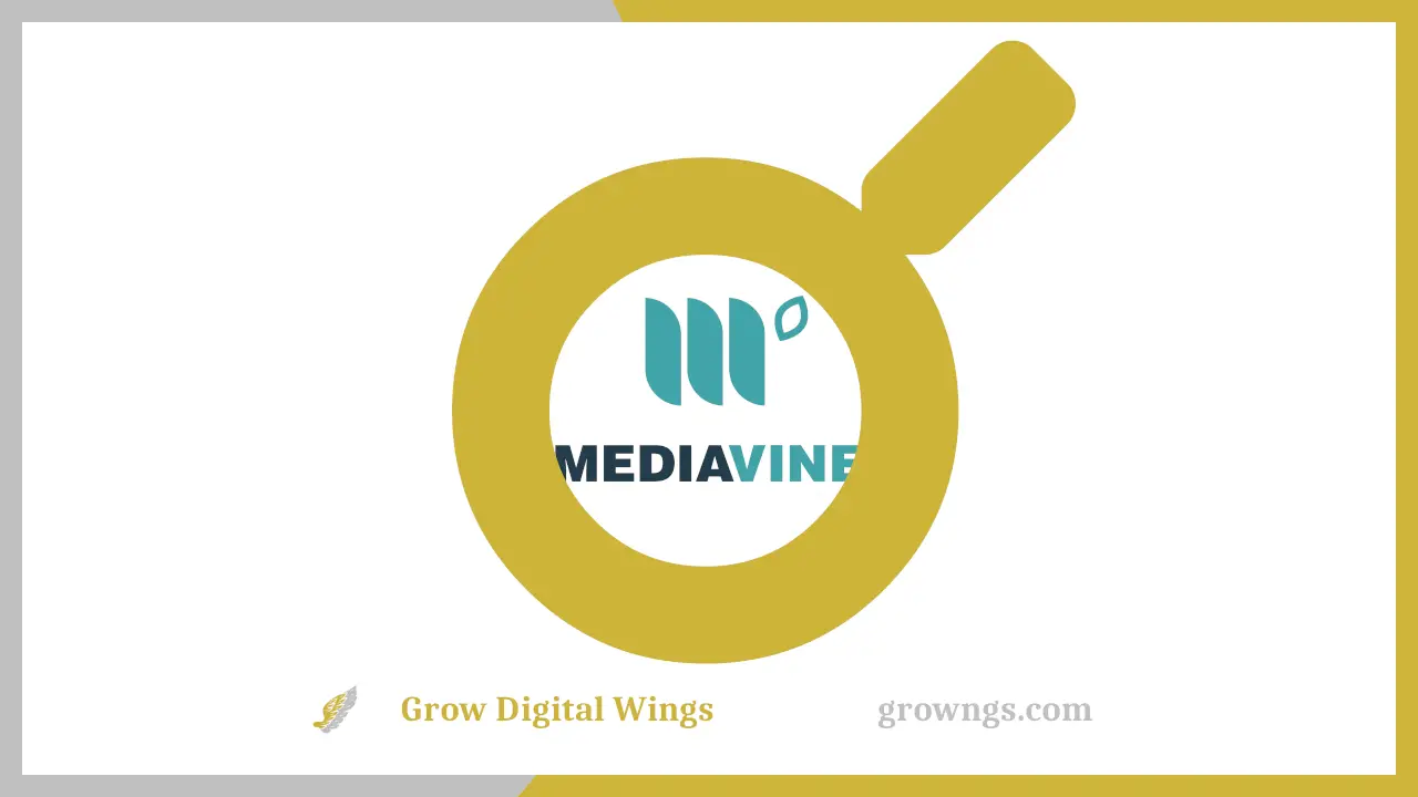 Mediavine Review - Products, Services, Connectivity